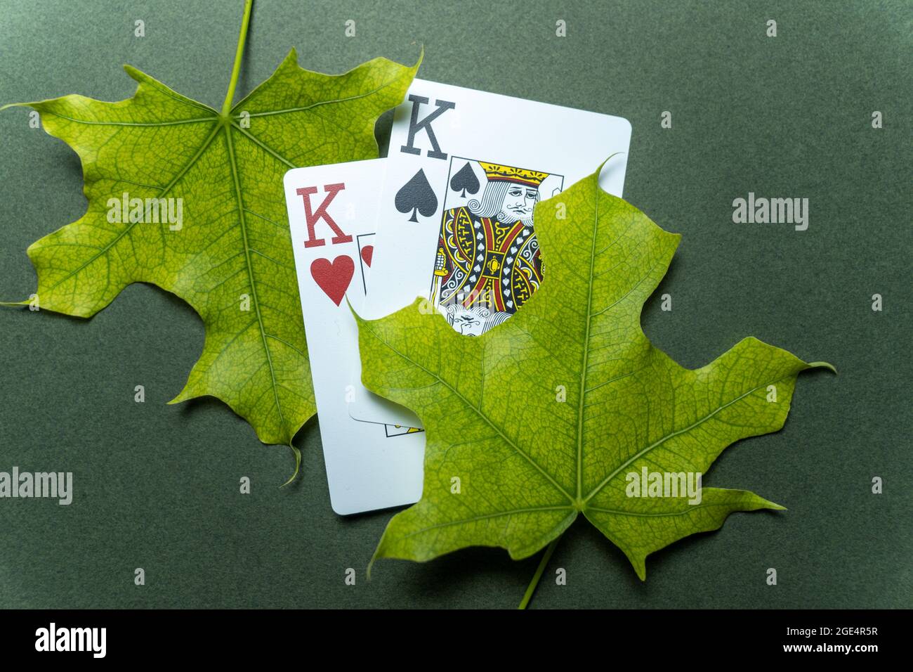 Heart spade leaf hi-res stock photography and images - Alamy