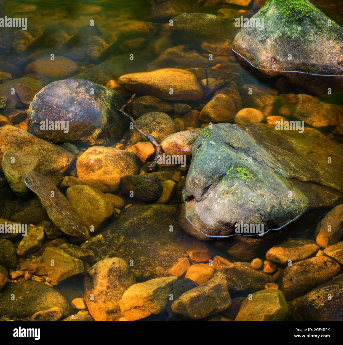 Looking through water at a ransom patter of rocks on a river bed, in a ...