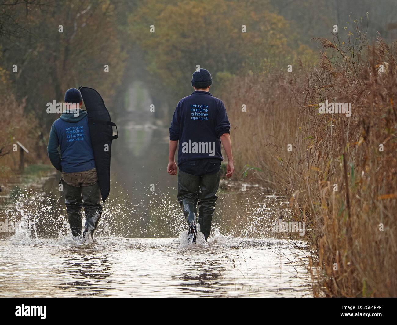 two RSPB personnel in waders splash through flooded causeway at ...