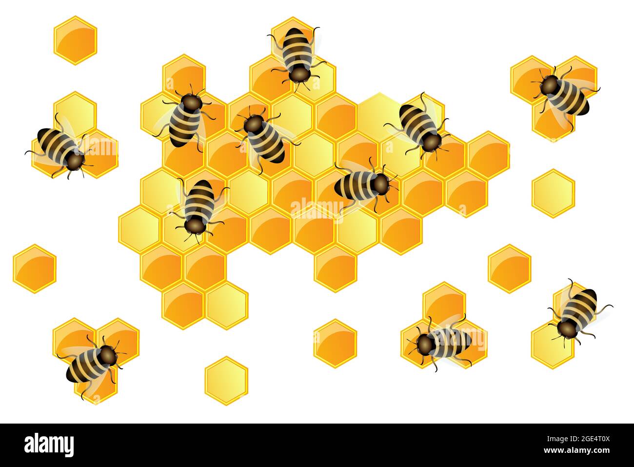 Working bees Stock Vector Images - Alamy