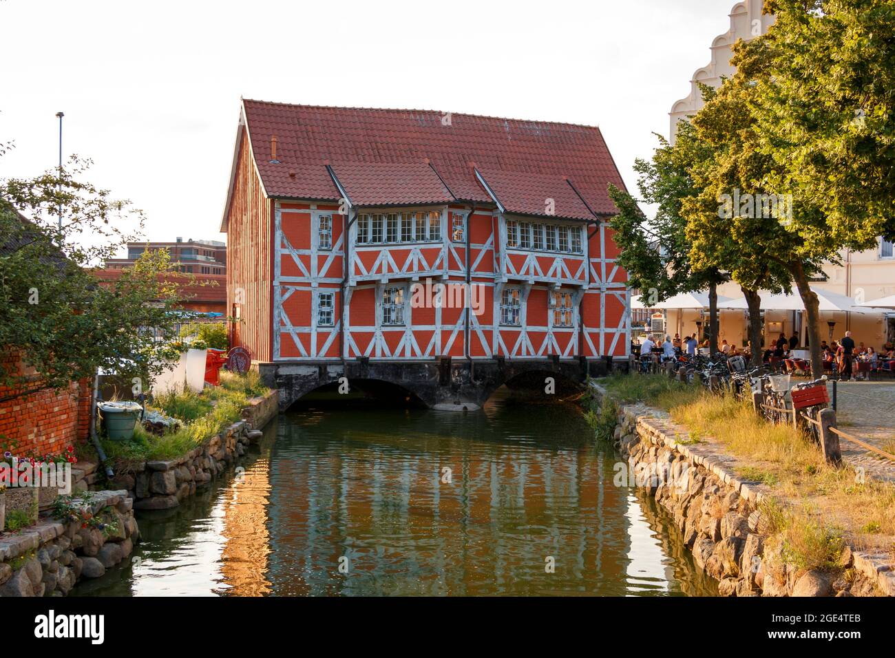 Wismar, Germany - July 12, 2021: Flowers in front of the Mühlenbach and ...