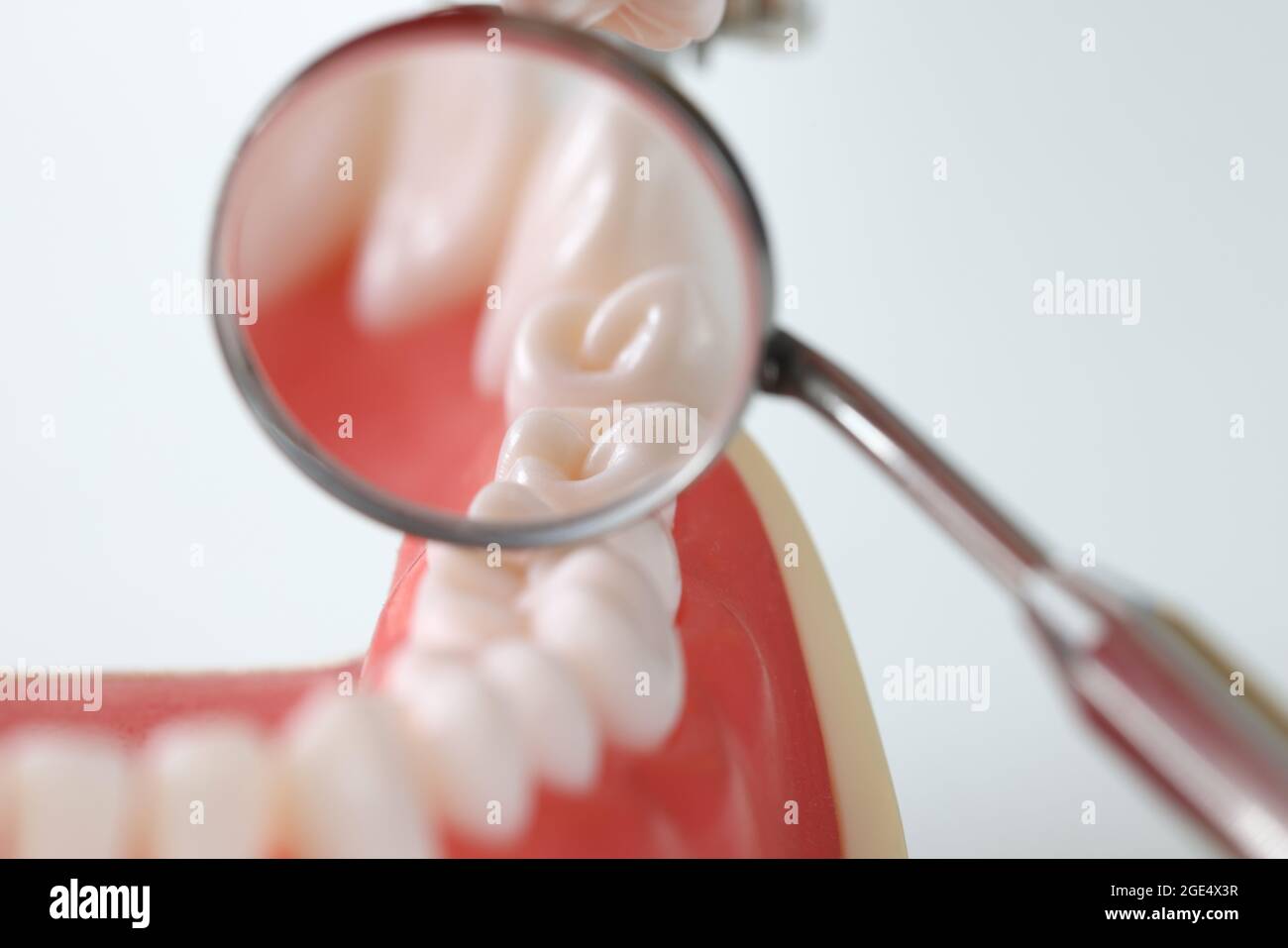 Dental examination mirror and artificial jaw closeup Stock Photo - Alamy