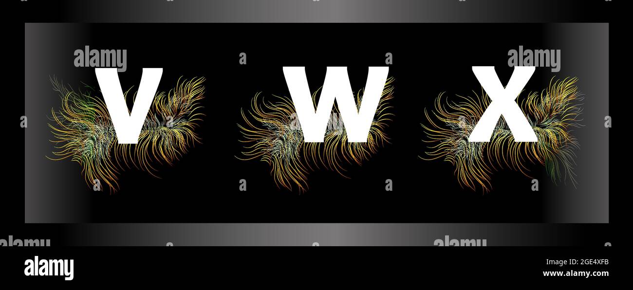 Letters of the alphabet on a black background with feathers of exotic ...
