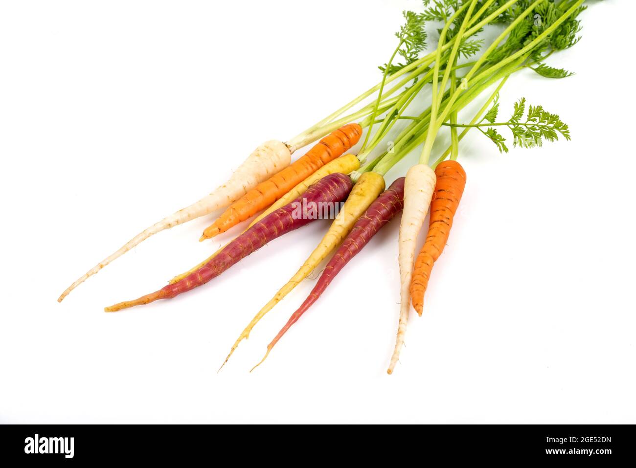 Bunch of fresh baby carrots isolated on white background Stock Photo ...