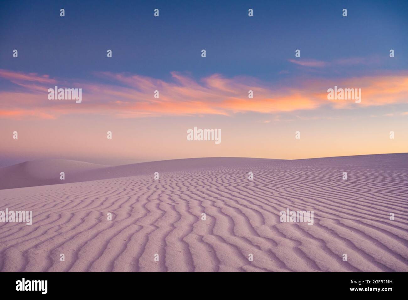 Dune stands hi-res stock photography and images - Alamy