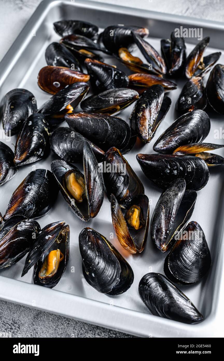 Raw blue mussels shells in kitchen steel tray. White background. Top ...