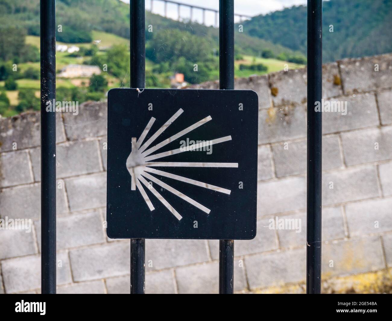 St jacques shell hi-res stock photography and images - Alamy