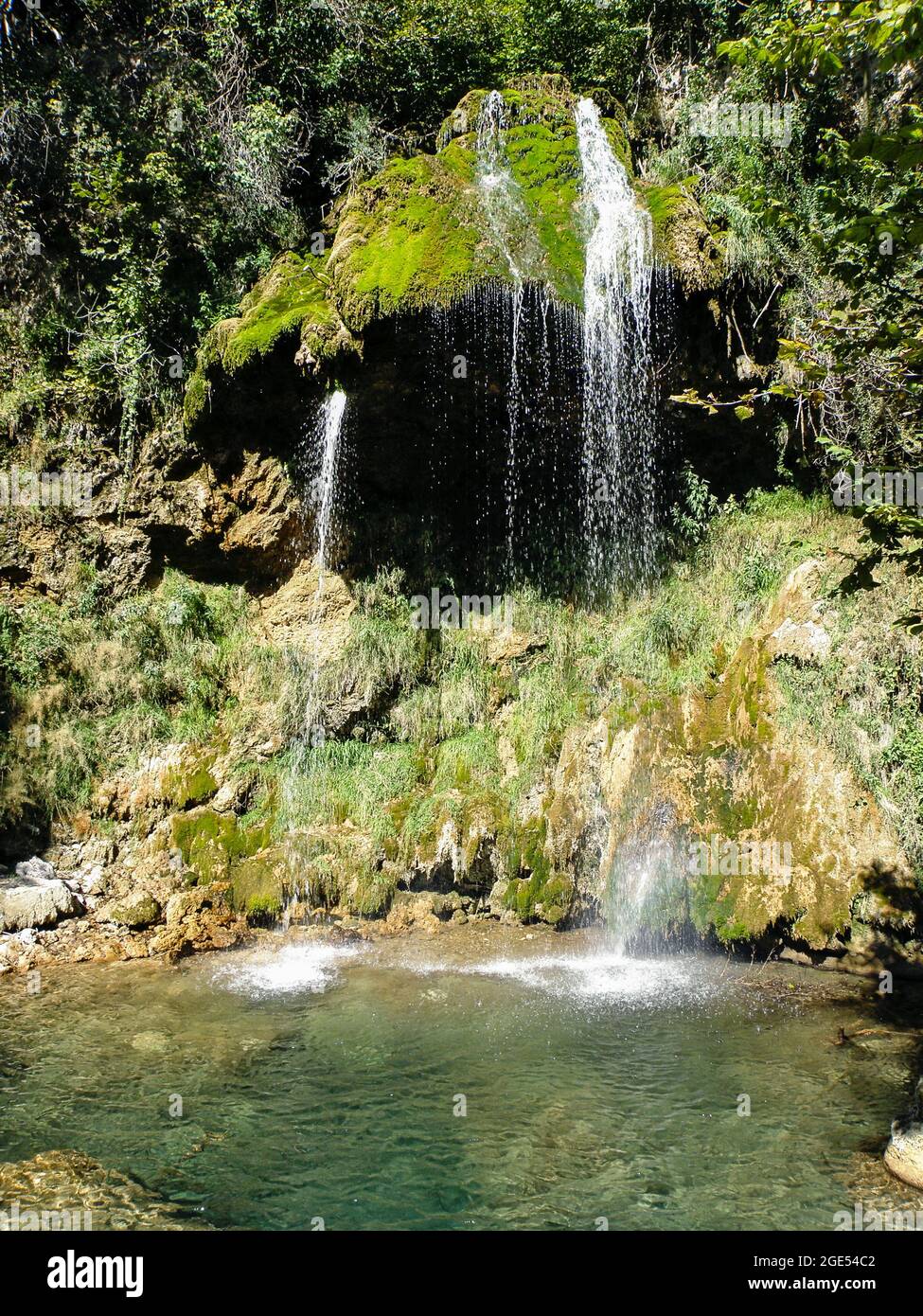 Lisine hi-res stock photography and images - Alamy