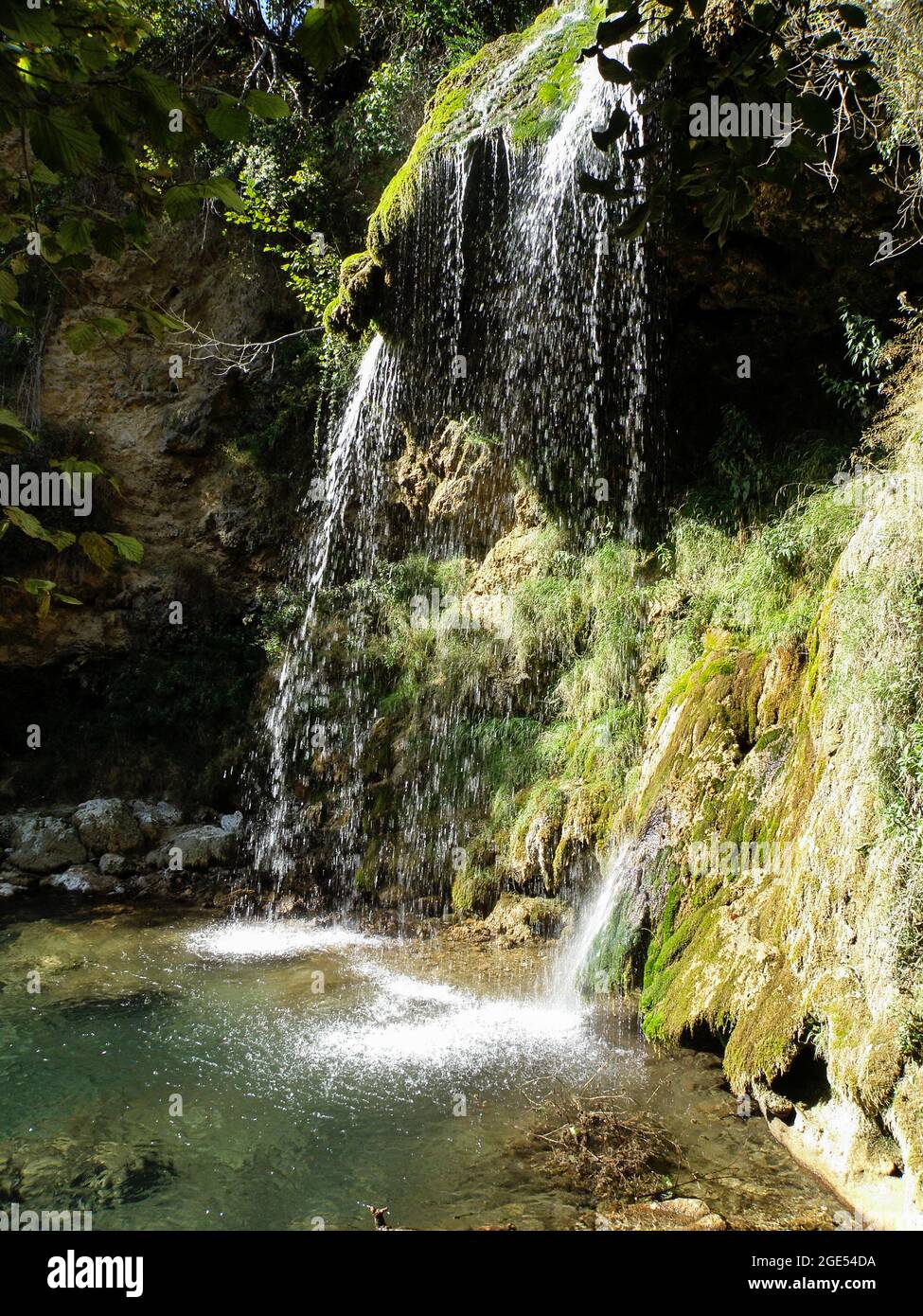 Lisine hi-res stock photography and images - Alamy