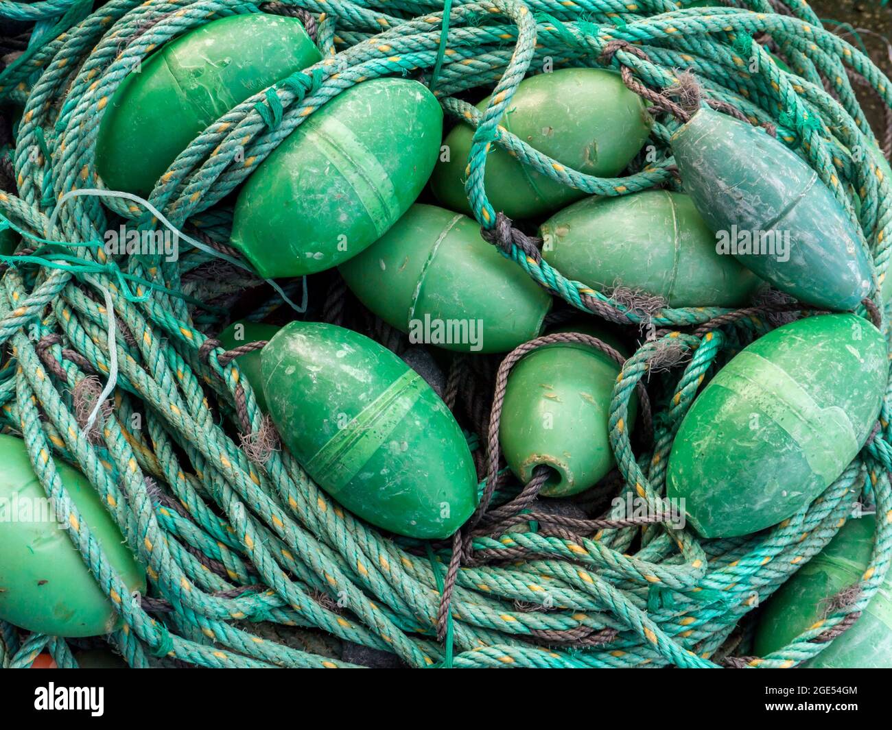 LUARCA, SPAIN - DECEMBER 4, 2016: Green fishing gear at the fish market ...