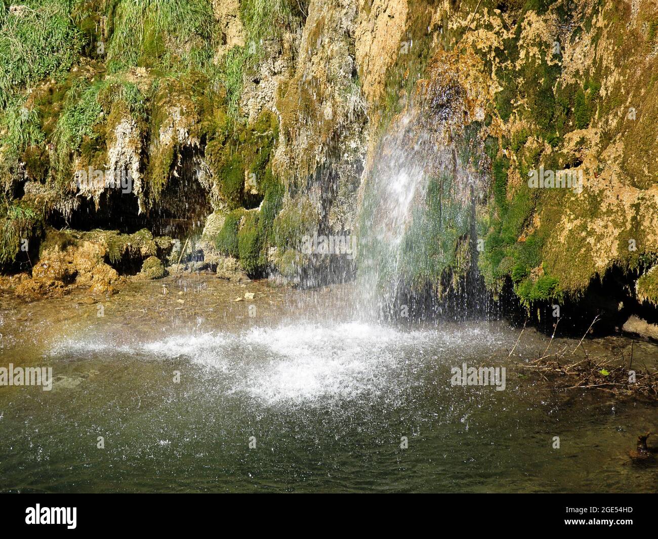 Lisine hi-res stock photography and images - Alamy