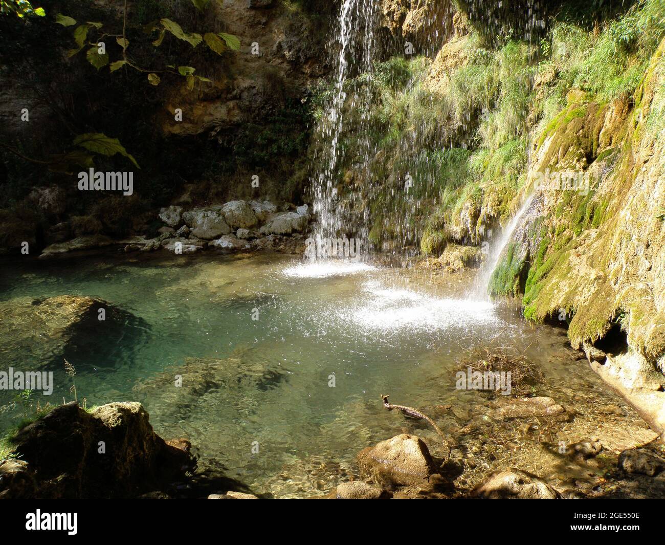 Lisine hi-res stock photography and images - Alamy