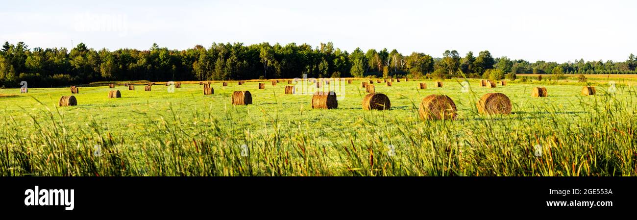 Hay bales panorama hi-res stock photography and images - Alamy
