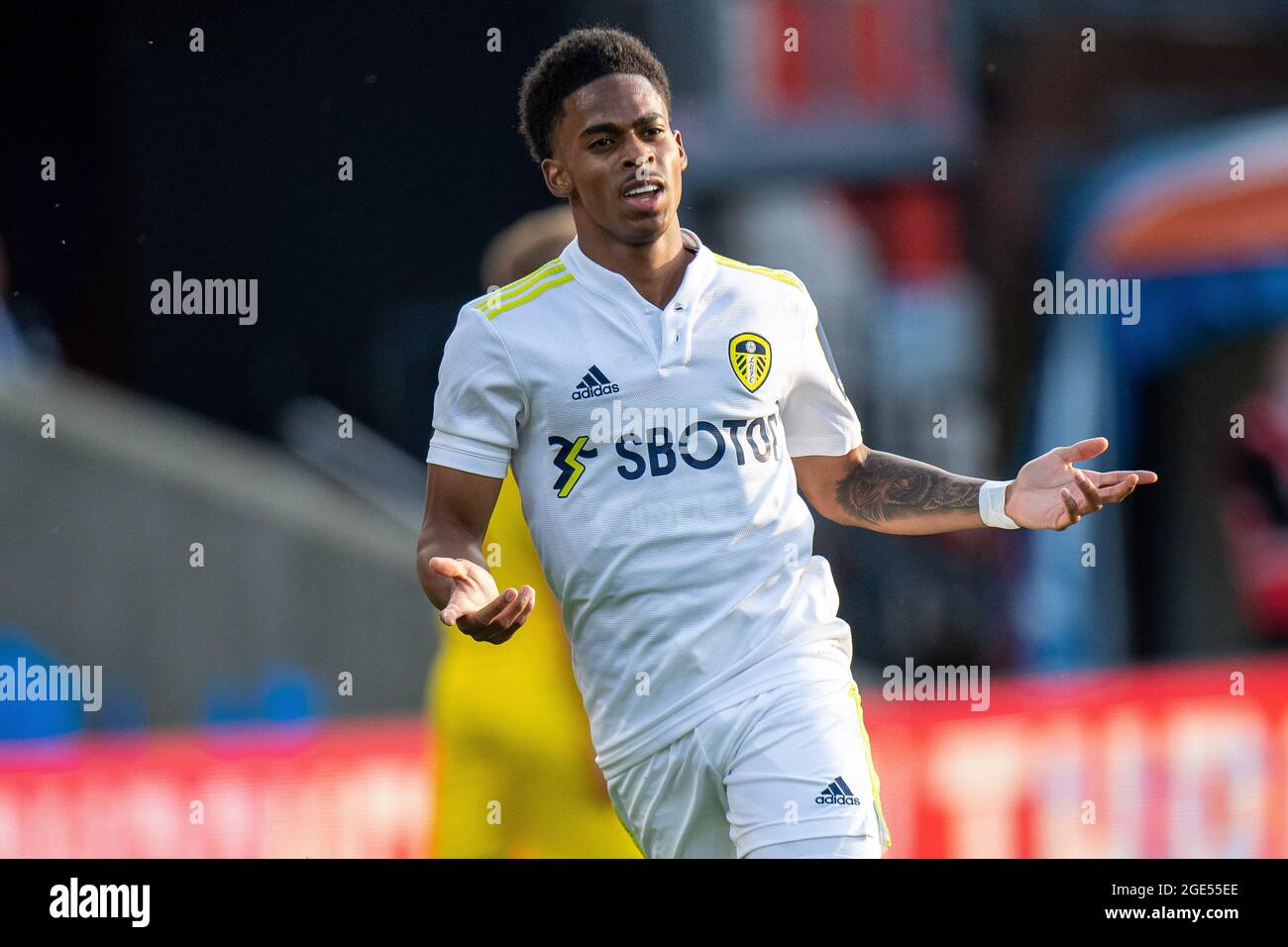 Premier League 2 Division 1 match between Crystal Palace and Leeds on August 16 2021 in London England Stock Photo Alamy