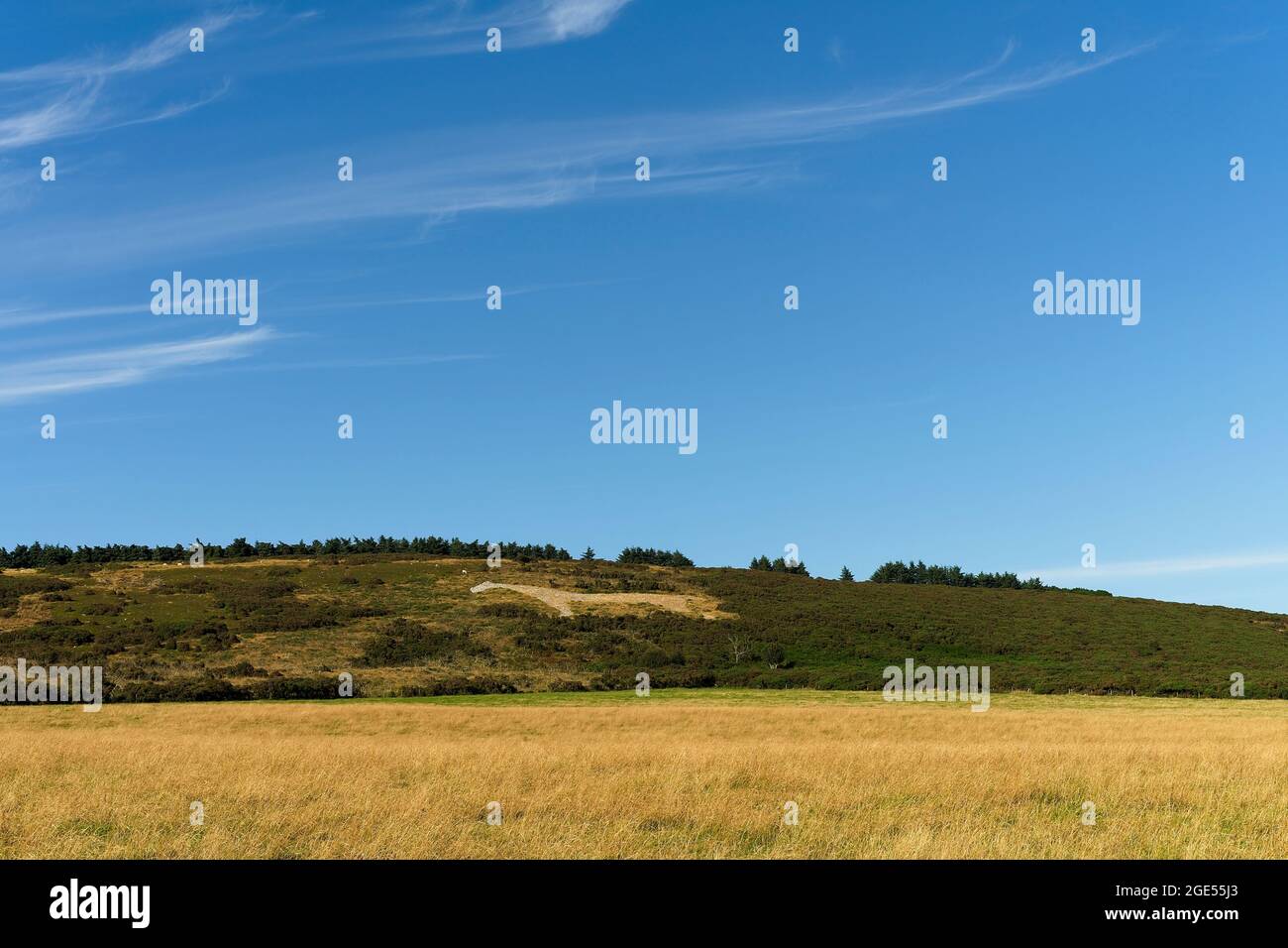 White Horse on the side of Waughton Hill near Strichen Aberdeenshire ...