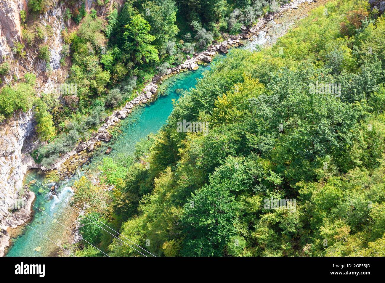 Treetops and Tara river , view from above . Spectacular view of forest ...