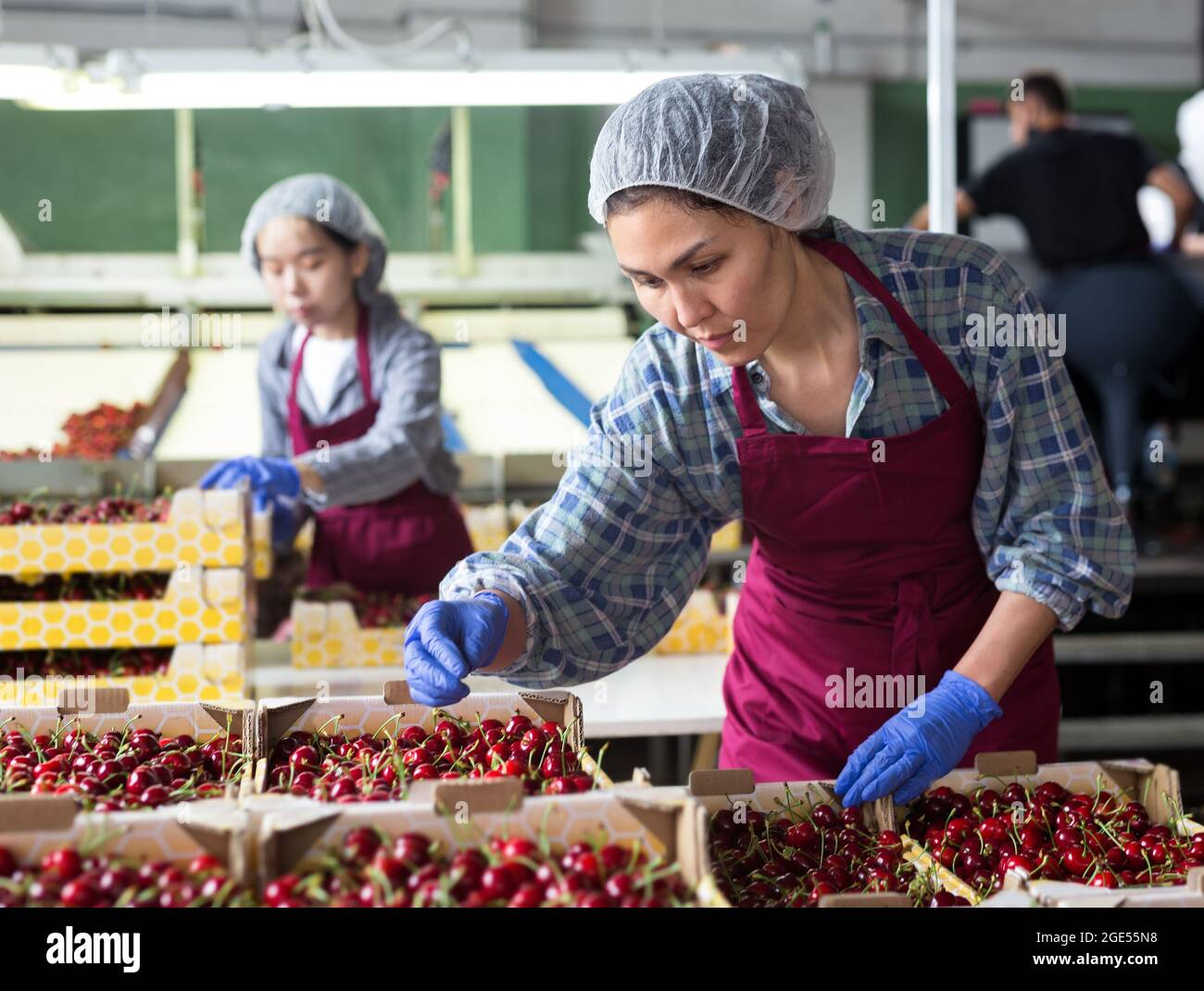 Asian woman controlling quality of cherry at warehouse Stock Photo - Alamy