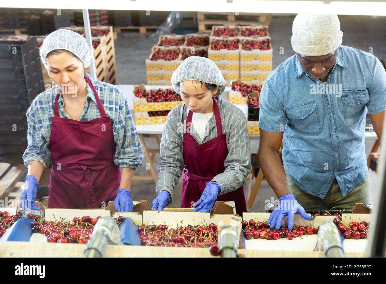 Group work man woman sorting hi-res stock photography and images - Alamy