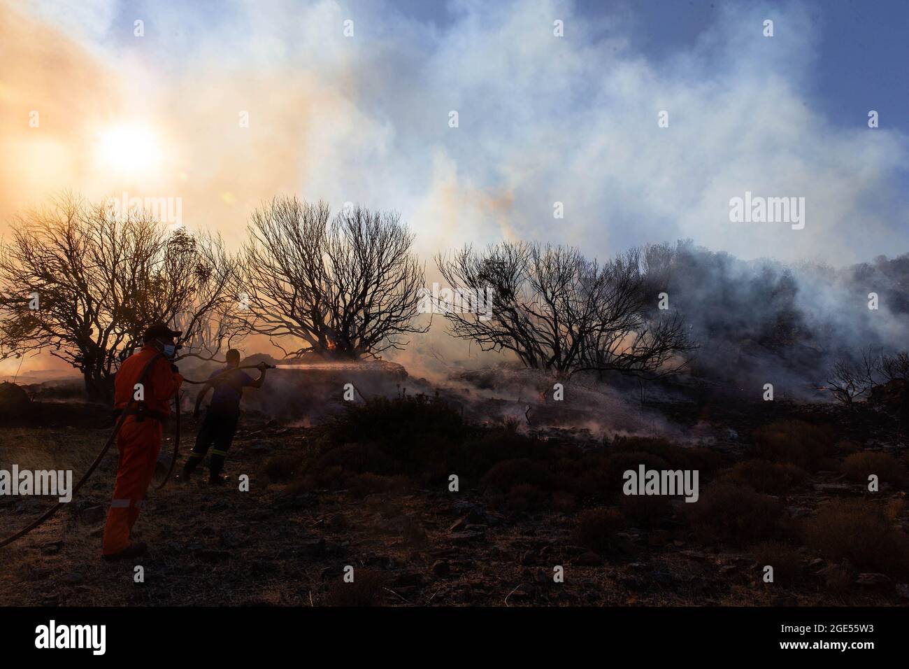 Greece wildfire 2021 hi-res stock photography and images - Alamy