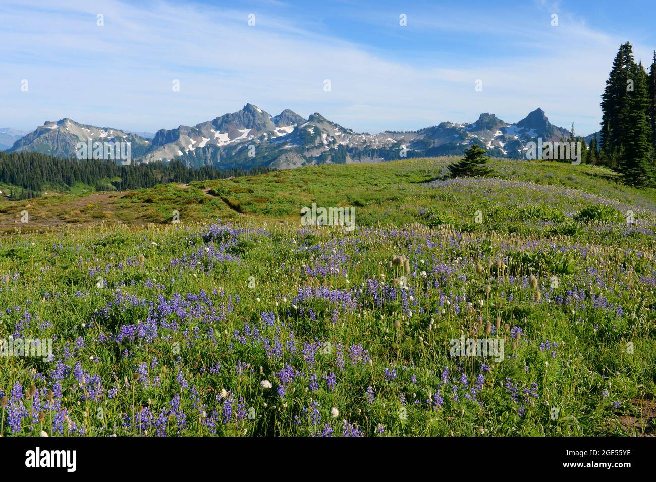 Tatoosh range from mt rainier hi-res stock photography and images - Alamy