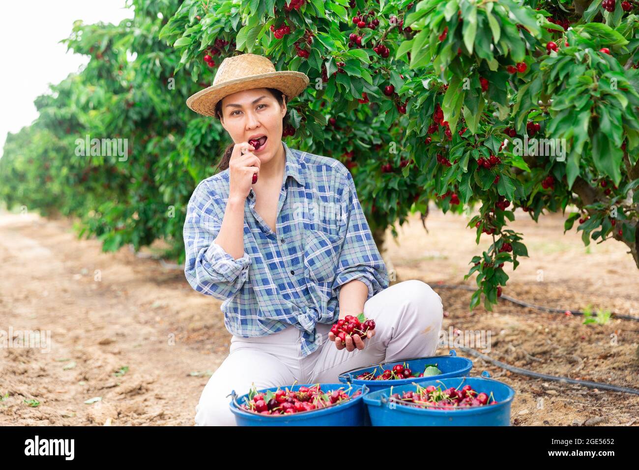 Filipino woman working hi-res stock photography and images - Alamy