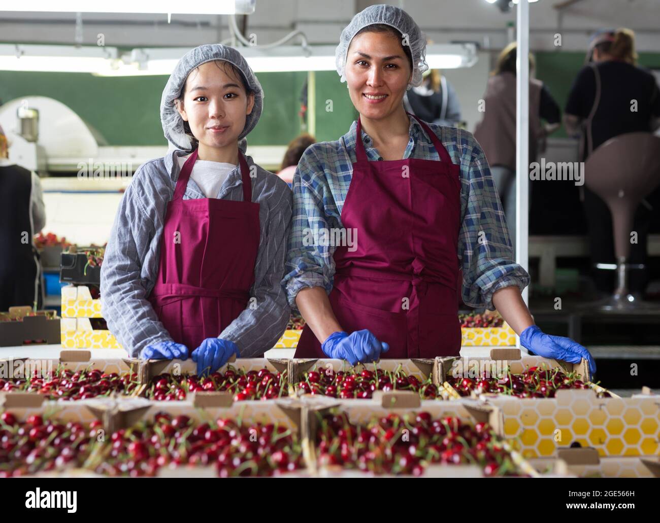 Portrait of two women on sorting line of warehouse Stock Photo - Alamy