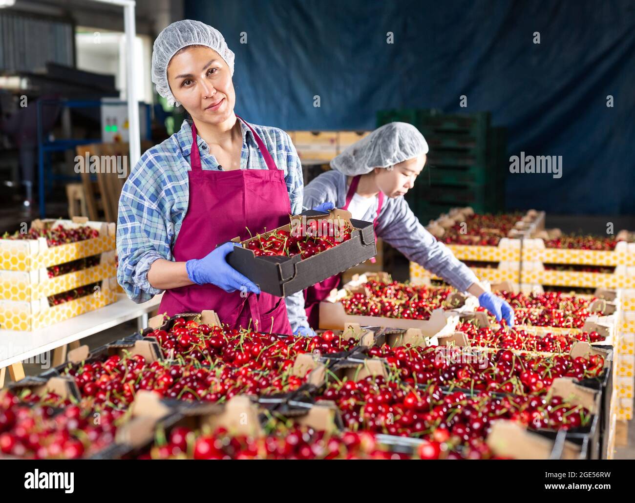 Women are working in warehouse Stock Photo - Alamy