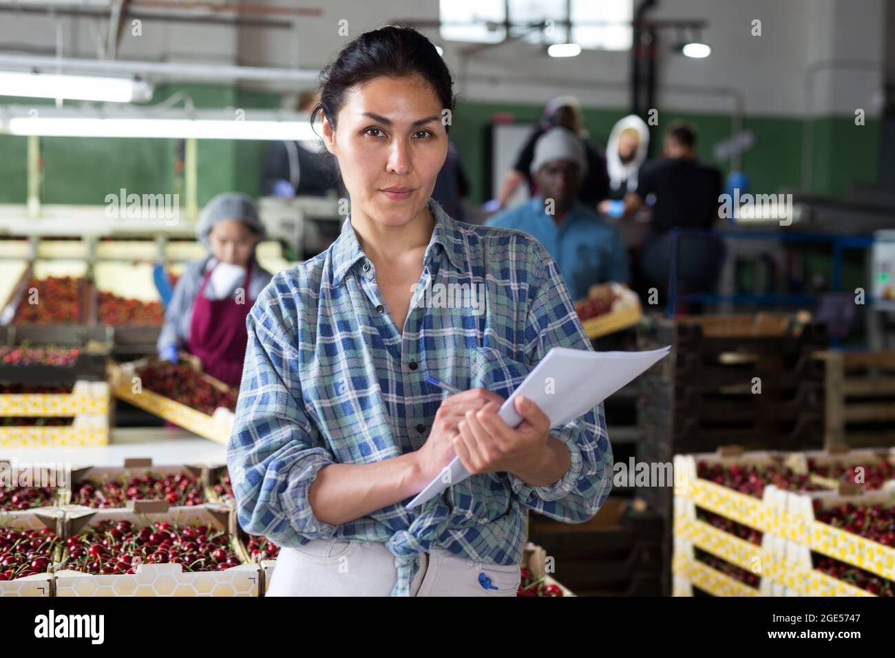 Woman supervisor controlling quality of cherry sorting Stock Photo - Alamy