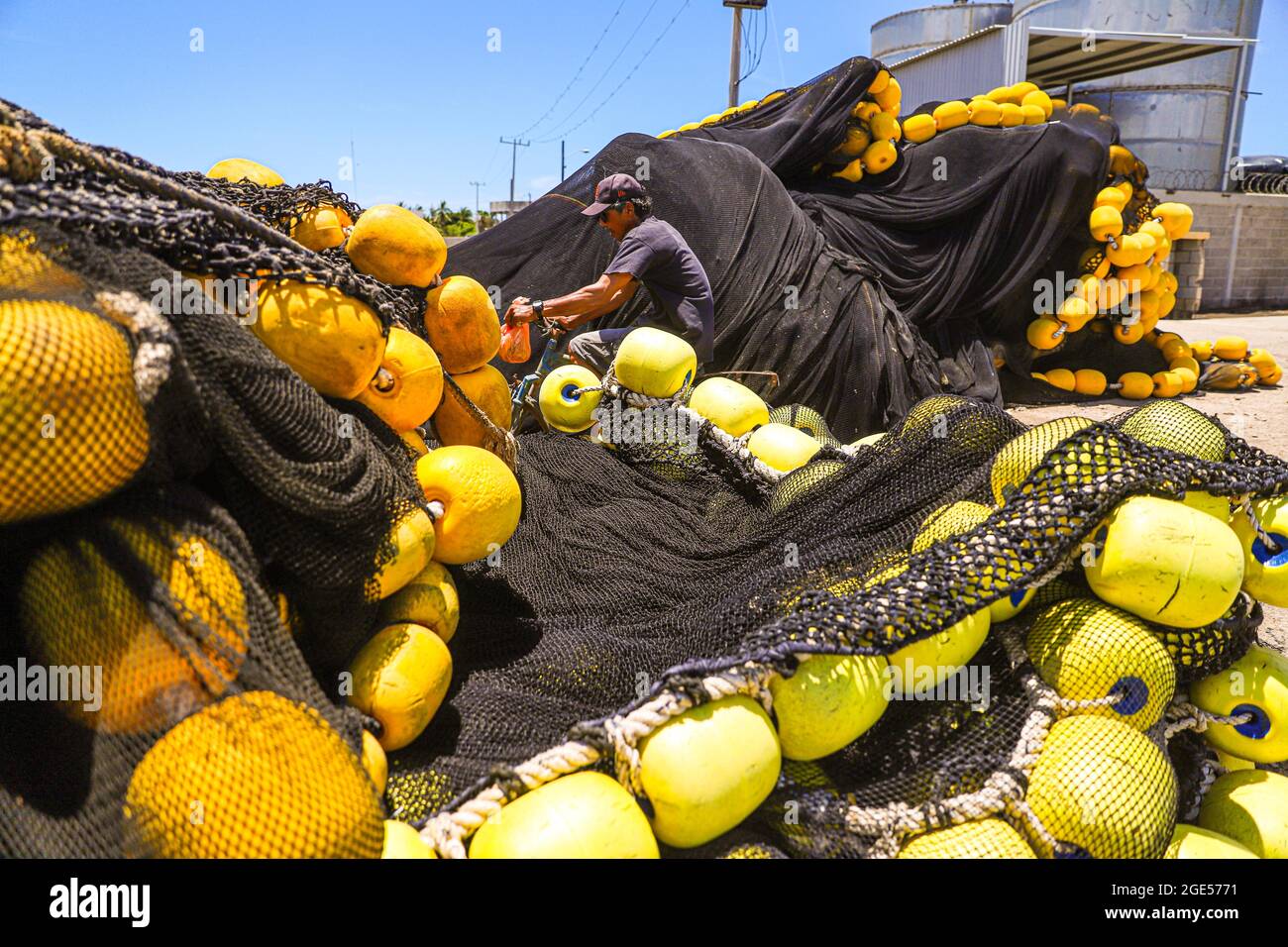 Black fishing net with yellow float for fishing boat or sardine called ...