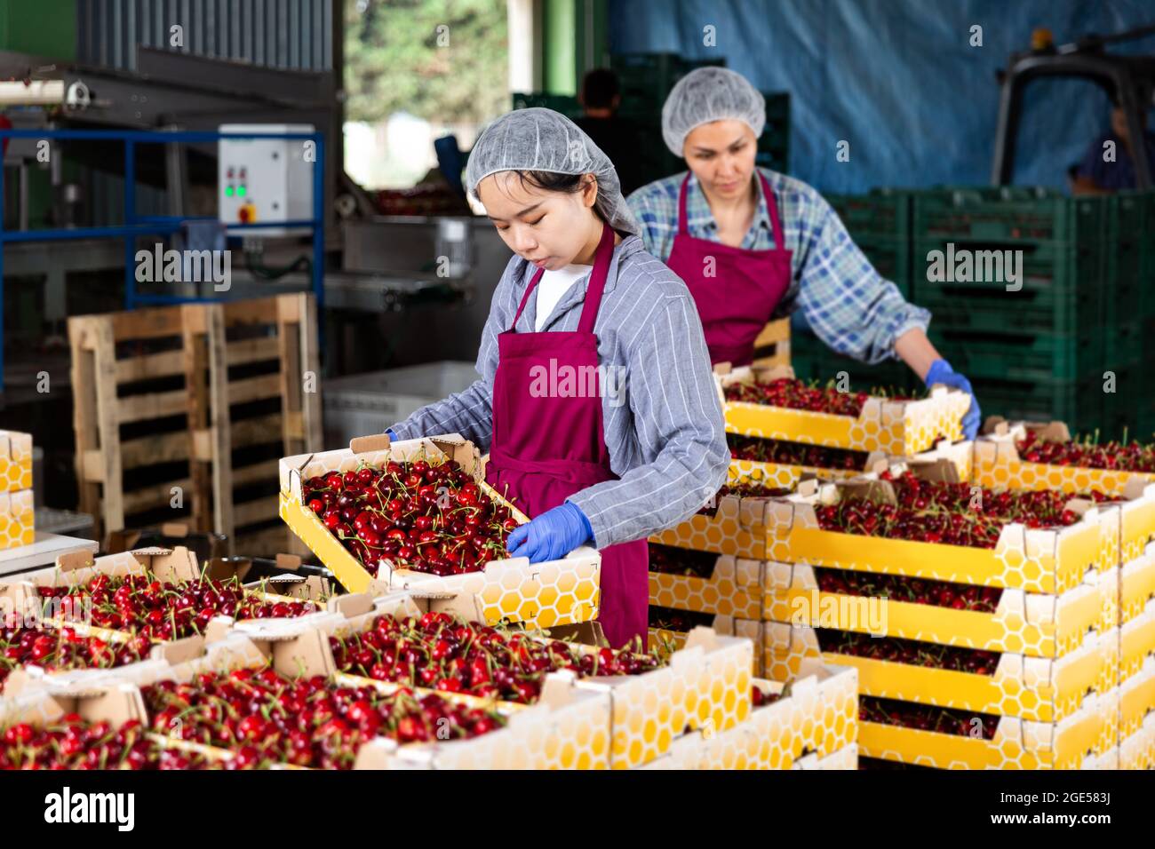 Girl and woman are working in warehouse Stock Photo - Alamy