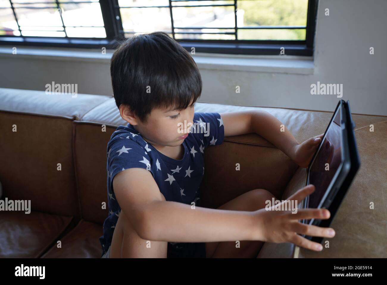 Ipad screen with animal on screen hi-res stock photography and images ...