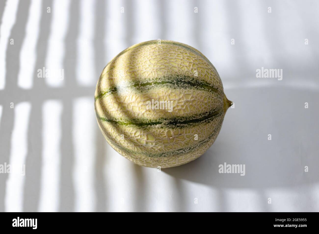Whole Japanese melon, cantaloupe melon on white background under the ...