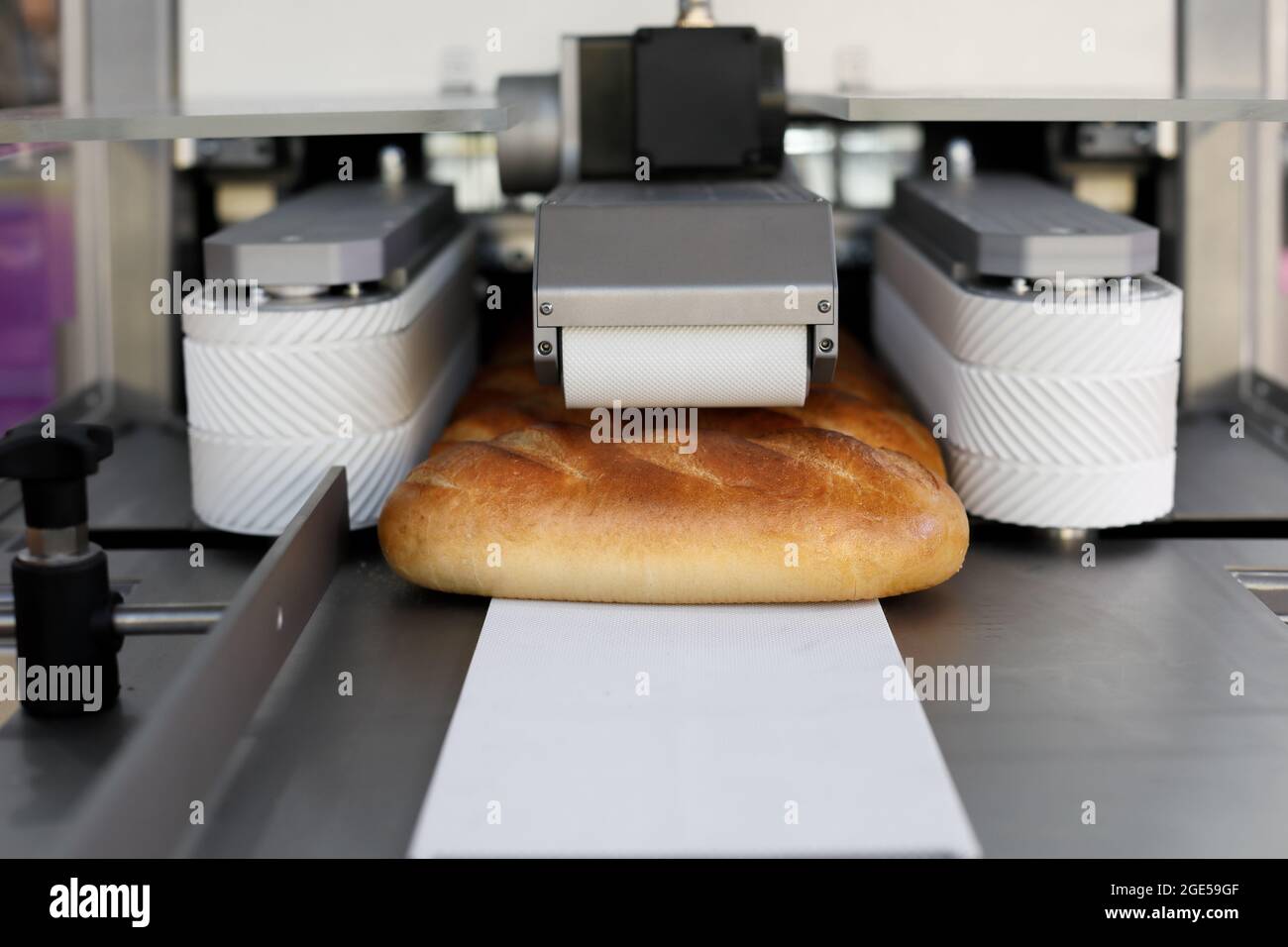 Loaves of bread prepared from wheat flour on a conveyor belt. Automated ...