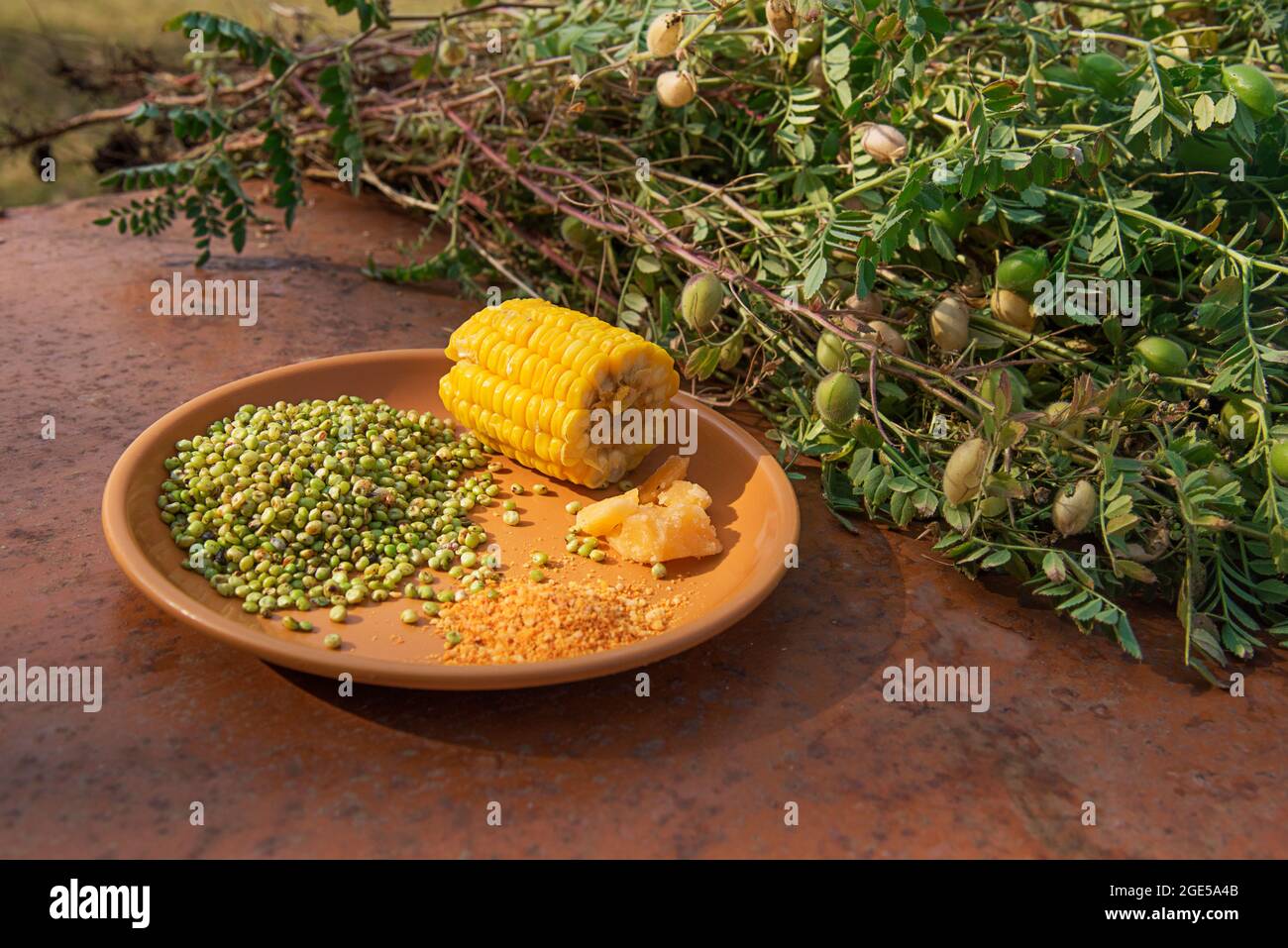 Green gram plant hi-res stock photography and images - Alamy