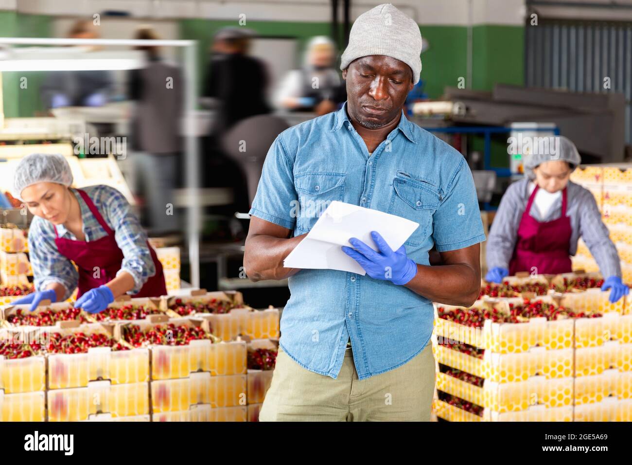 Man supervisor controlling quality of cherry sorting Stock Photo - Alamy