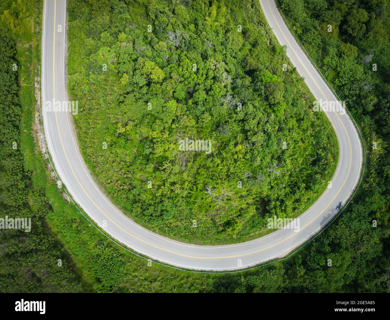 Aerial view forest nature with car on the road on the mountain green ...