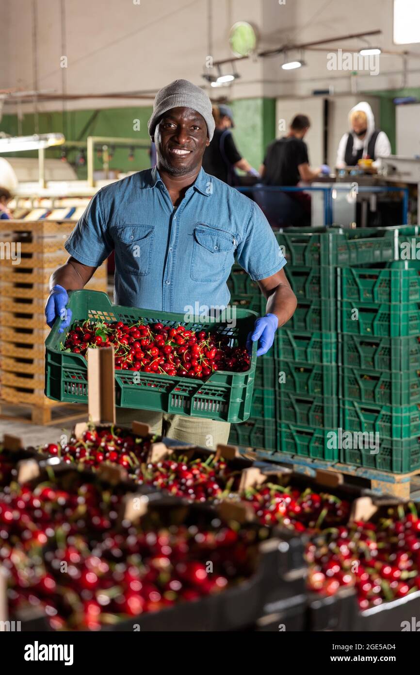 Carrying boxes in warehouse hi-res stock photography and images - Alamy