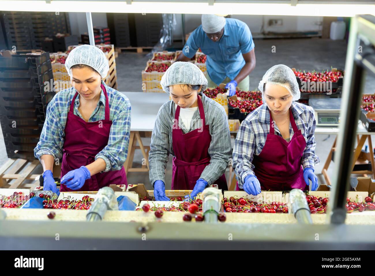 Group work man woman sorting hi-res stock photography and images - Alamy