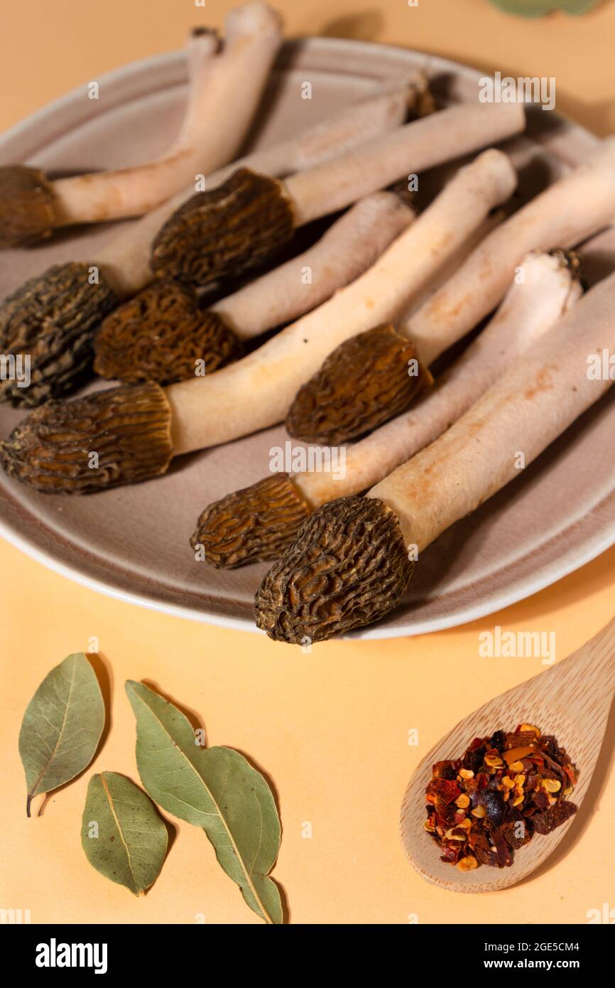 Conical morel hi-res stock photography and images - Alamy