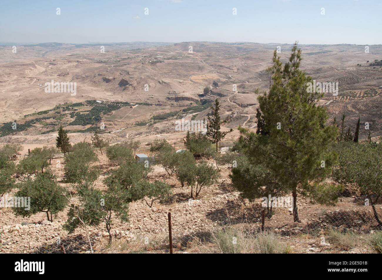 Moses View From Mount Nebo