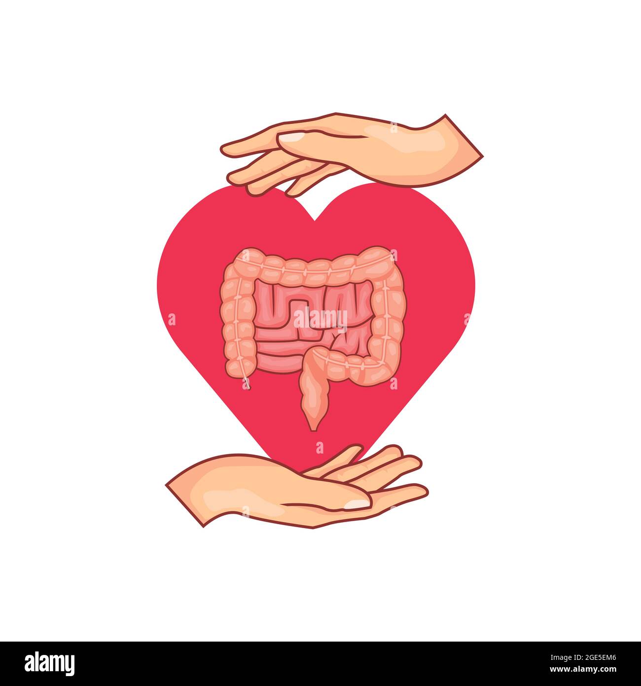 Taking Care Of Your Intestines vector illustration Stock Vector Image ...