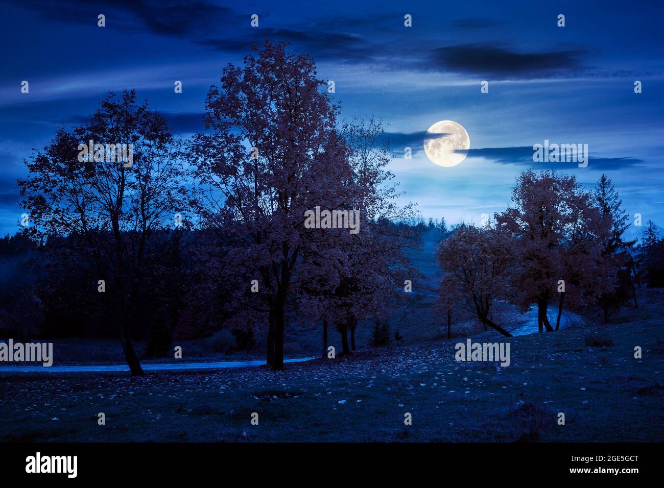 autumn countryside scenery in mountains at night. trees in colorful ...