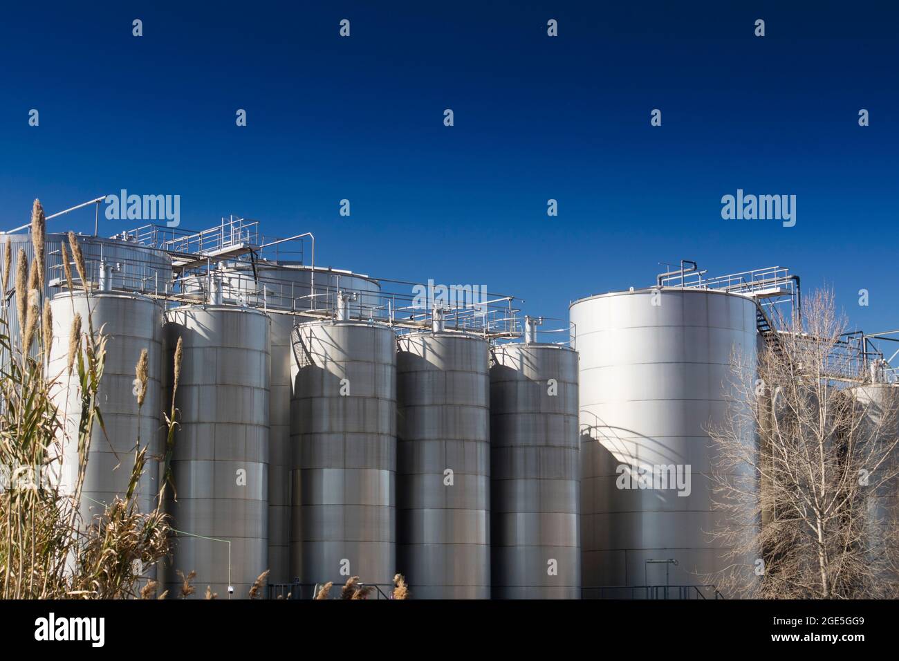 Elements of the food industry series of silos for storing raw material ...