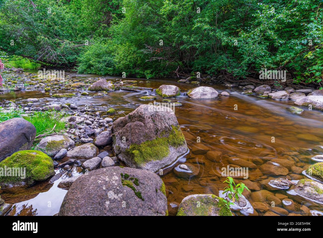 The canadian forest hi-res stock photography and images - Alamy