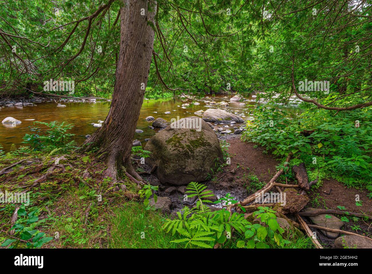 The canadian forest hi-res stock photography and images - Alamy