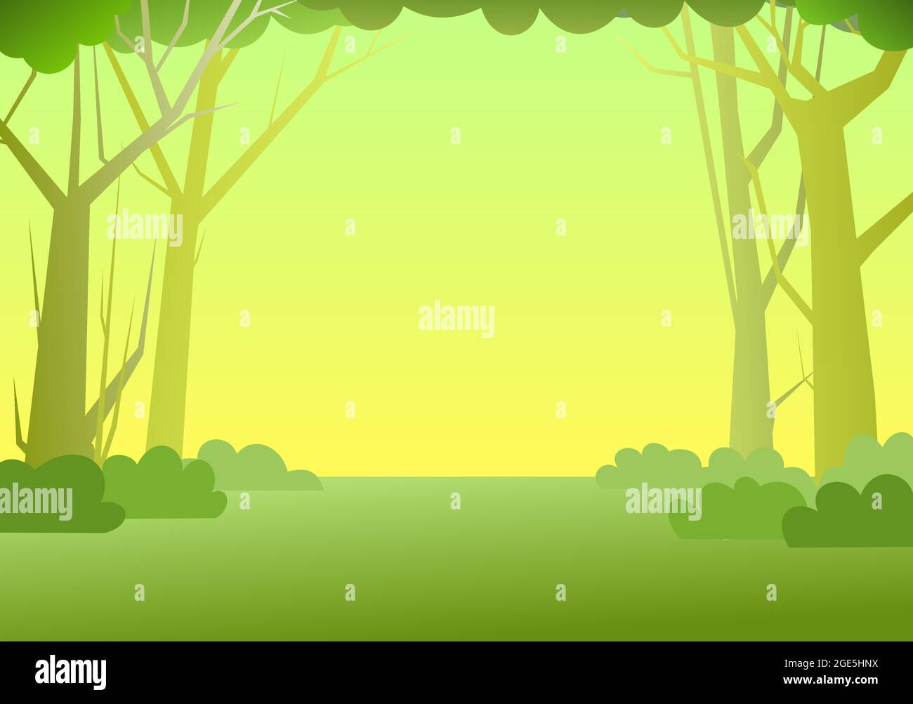 Forest landscape. Frame. Dense wild trees with tall, branched trunks ...