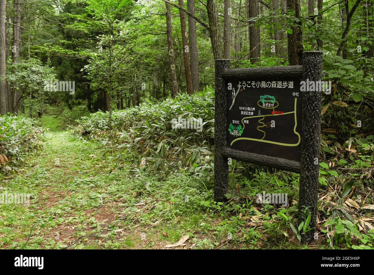 Japan tourist map hi-res stock photography and images - Alamy