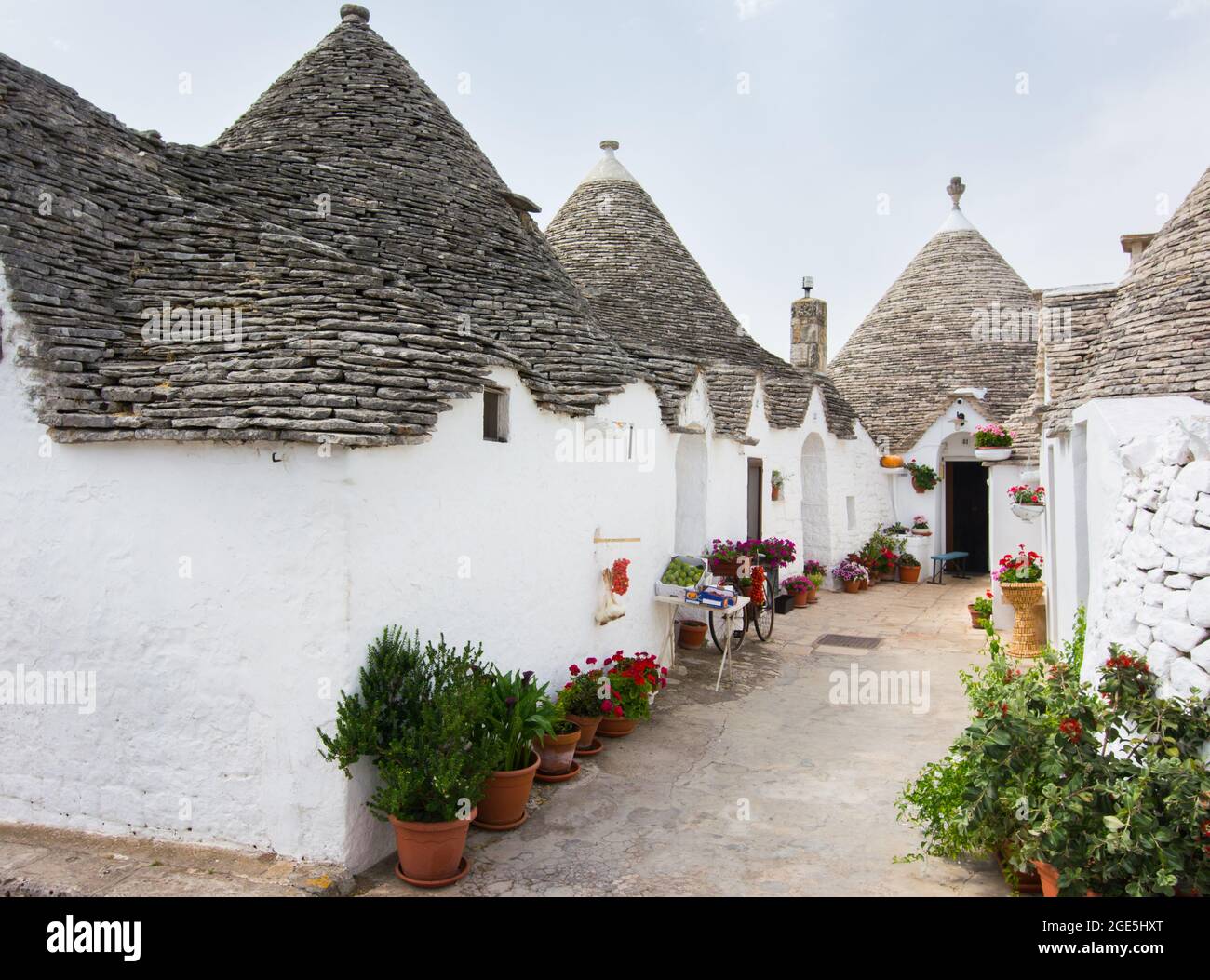 The traditional trulli houses in the town of Alberobello, Puglia, Italy ...