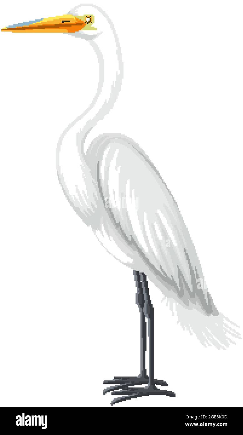 Great Egret in cartoon style on white background illustration Stock ...