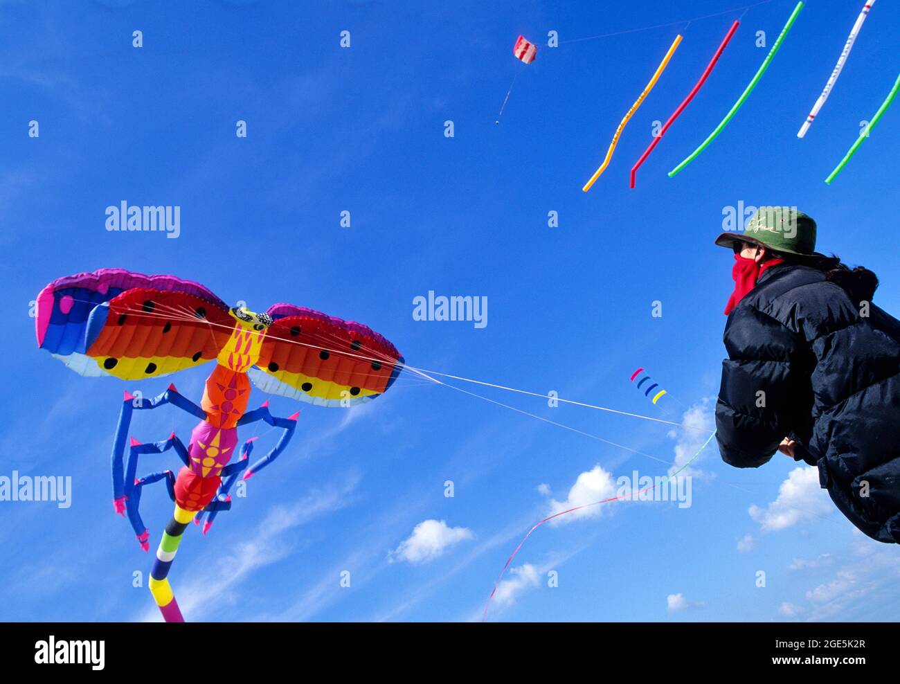 FRANCE, KITE FESTIVAL, THE PRAYING MANTIS KITE WITHOUT STRUCTURE BY ...